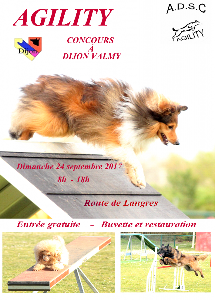 affiche concours 2017 - ADSC